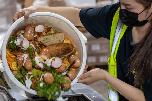A convenient food waste solution for businesses | Sustainability blog ...